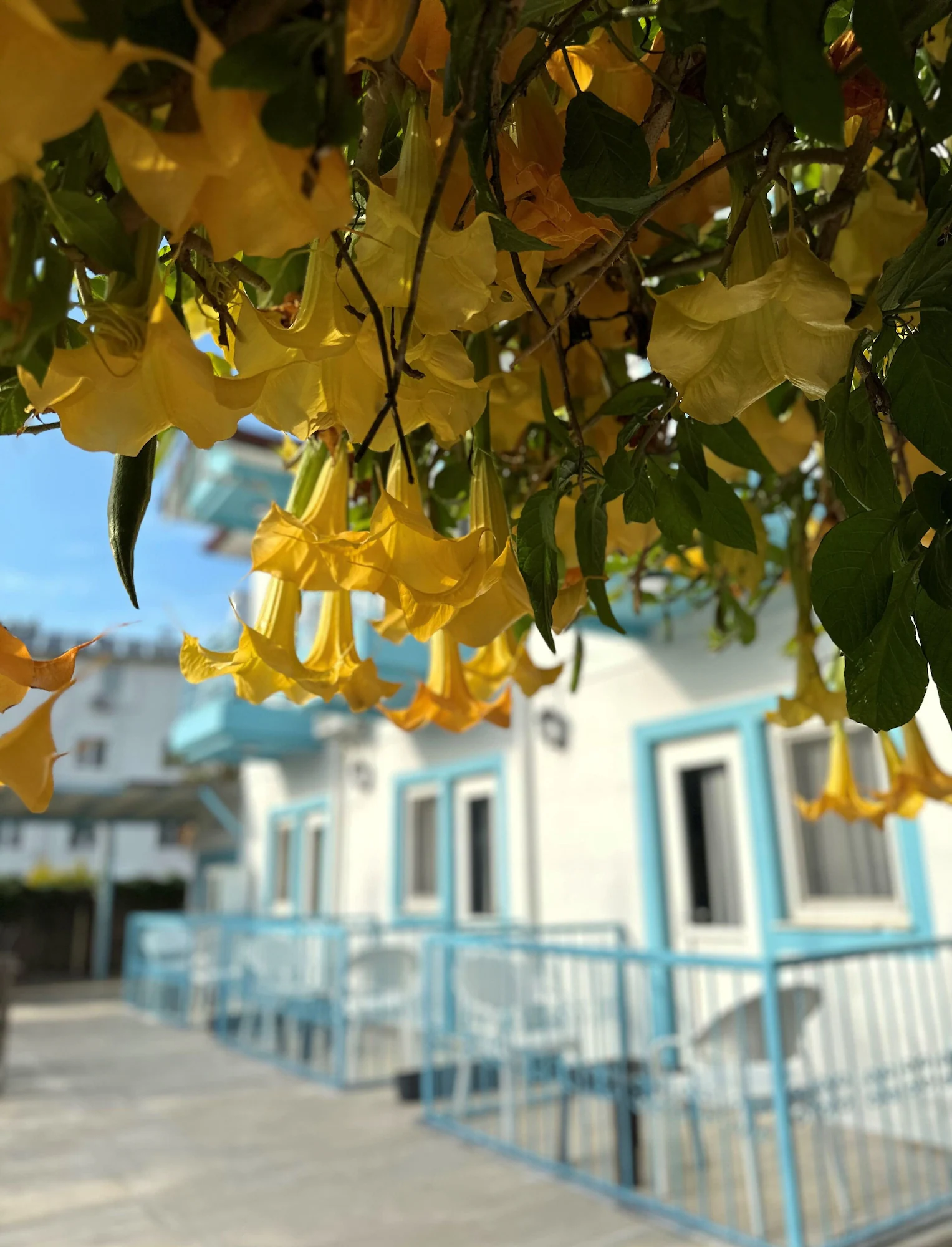 Enjoy Pansiyon - Fethiye