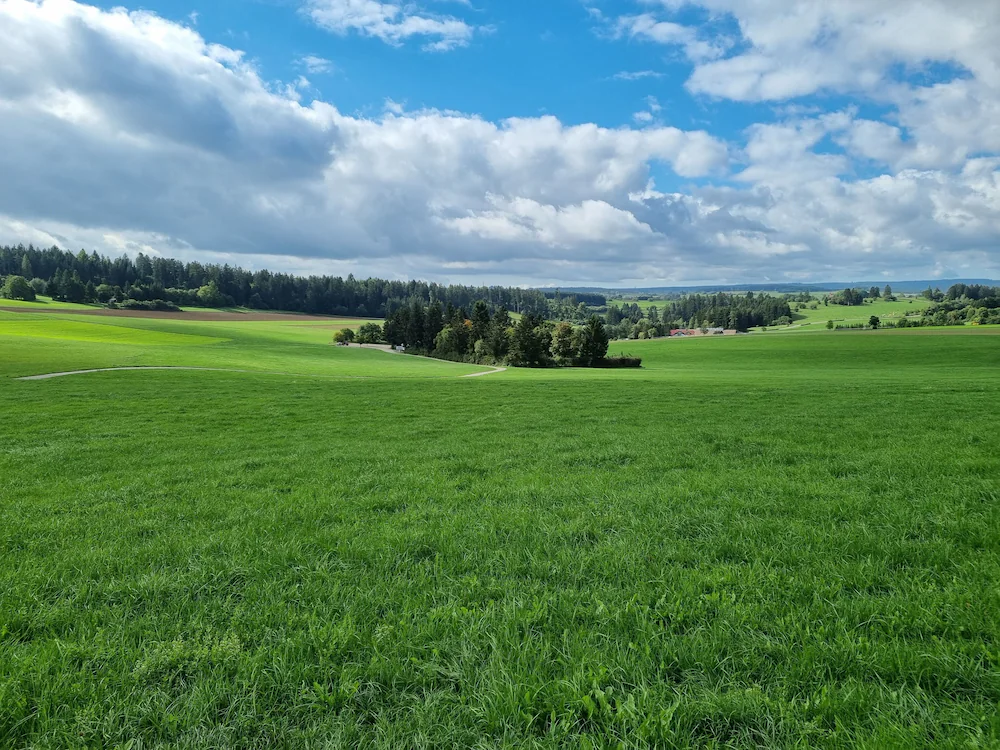 Modern Eingerichtete 3-zi-ferienwohnung Zu Vermieten - Donaueschingen