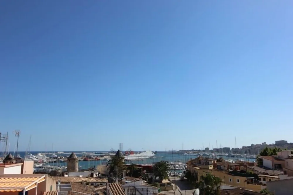 Hotel-apartment With Big Terrace - Palma de Majorque