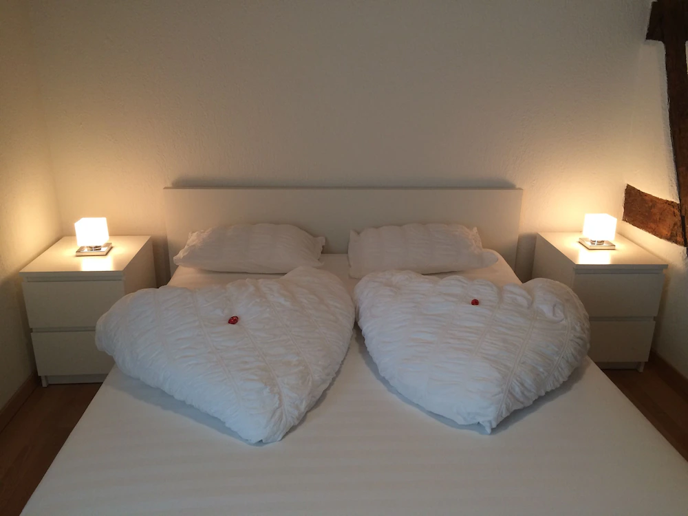 Superior Family Apartment In Old House  Built In 1707 - Schaffhausen
