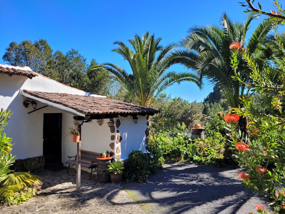 Finca Llano De La Cebolla - Tenerife