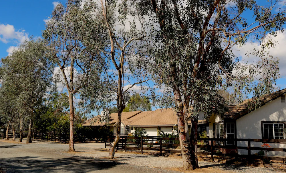 Enjoy The Rancho Villa Heart Of Temecula Wine Country Golf Casinos Views Rvc-023 - Temecula, CA