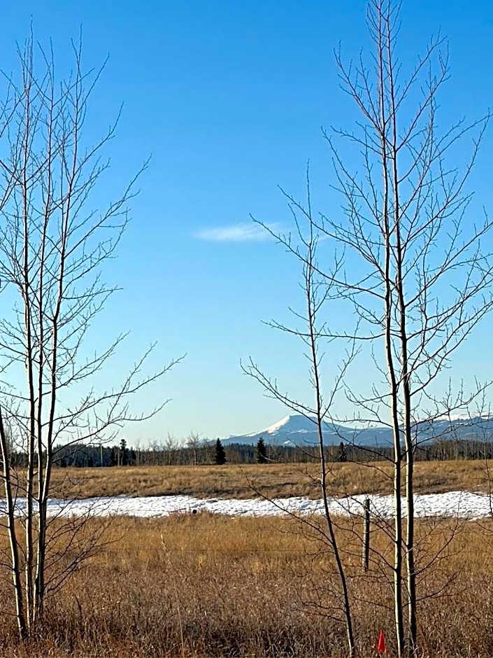 Dry Log Cabin With Mountain Views - Yukon