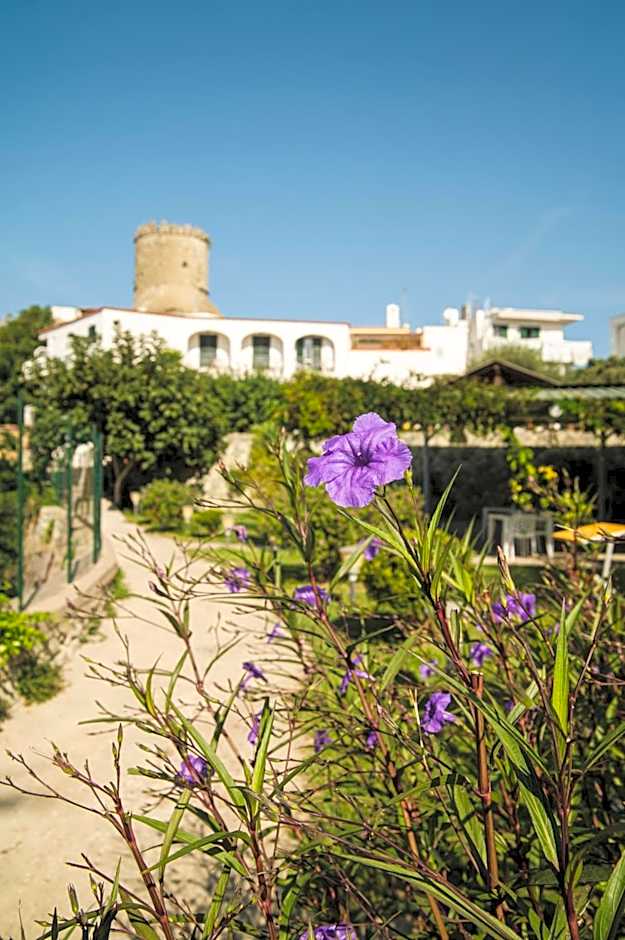 Victoria Park Resort - Forio