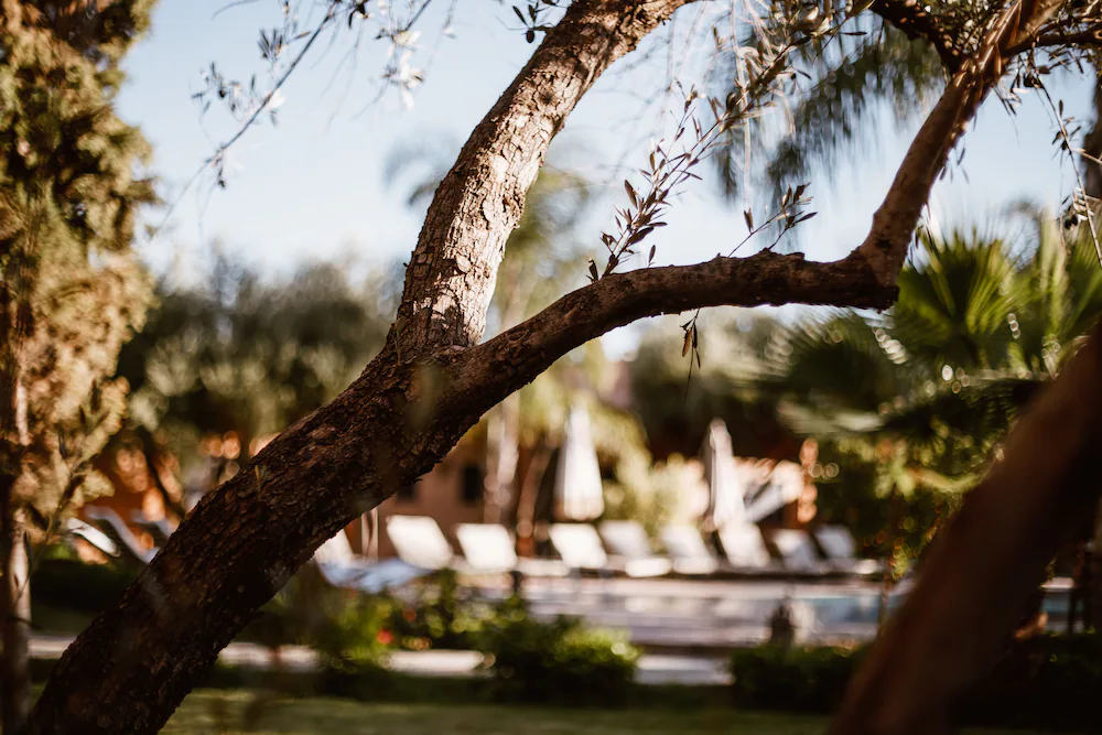 Kasbah Alili - Marrakech