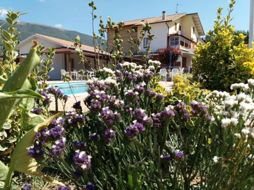 Bed & Breakfast Ciancaleoni - Assisi
