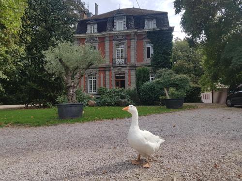 Château Lambert Moulinsart Hotel, Shuttle Airport, Long Term Parking, Snooker, Large Terrasse, Dinner, Breakfast - Charleroi